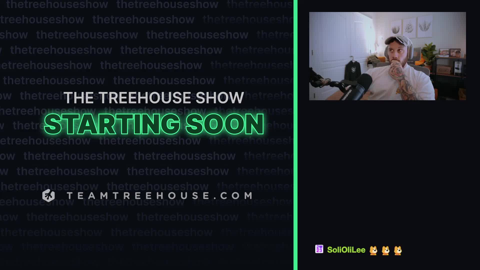 Hangout and CATalog (How To) | Code & Chill Livestreams | Treehouse