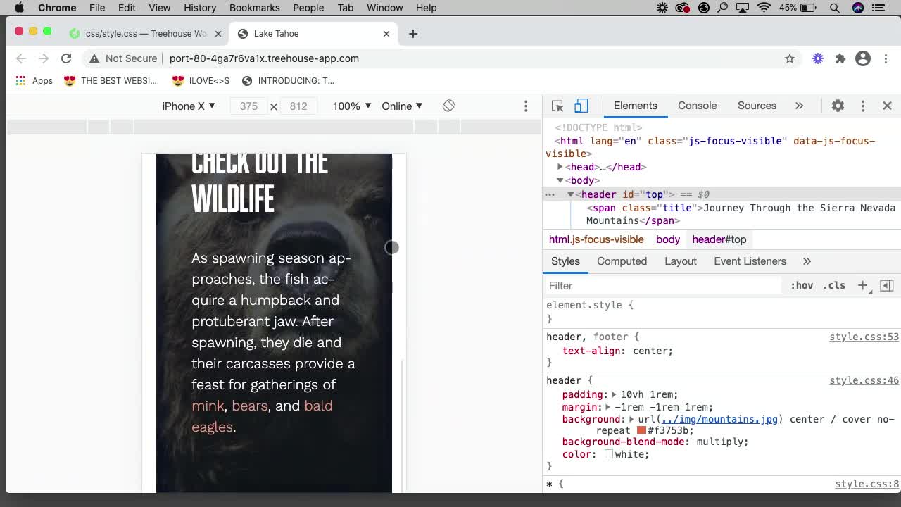 Improving Spacing (How To) | Enhancing Design with CSS | Treehouse