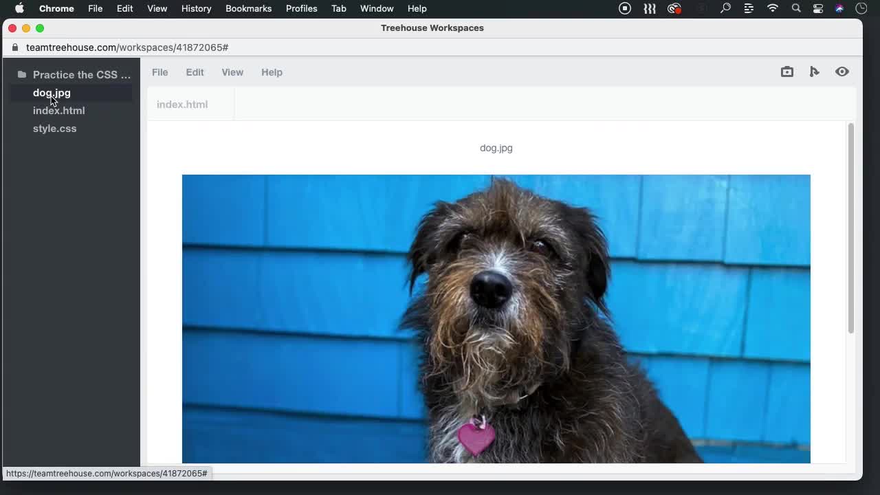 Introducing the Practice (How To) | Practice the CSS Box Model | Treehouse