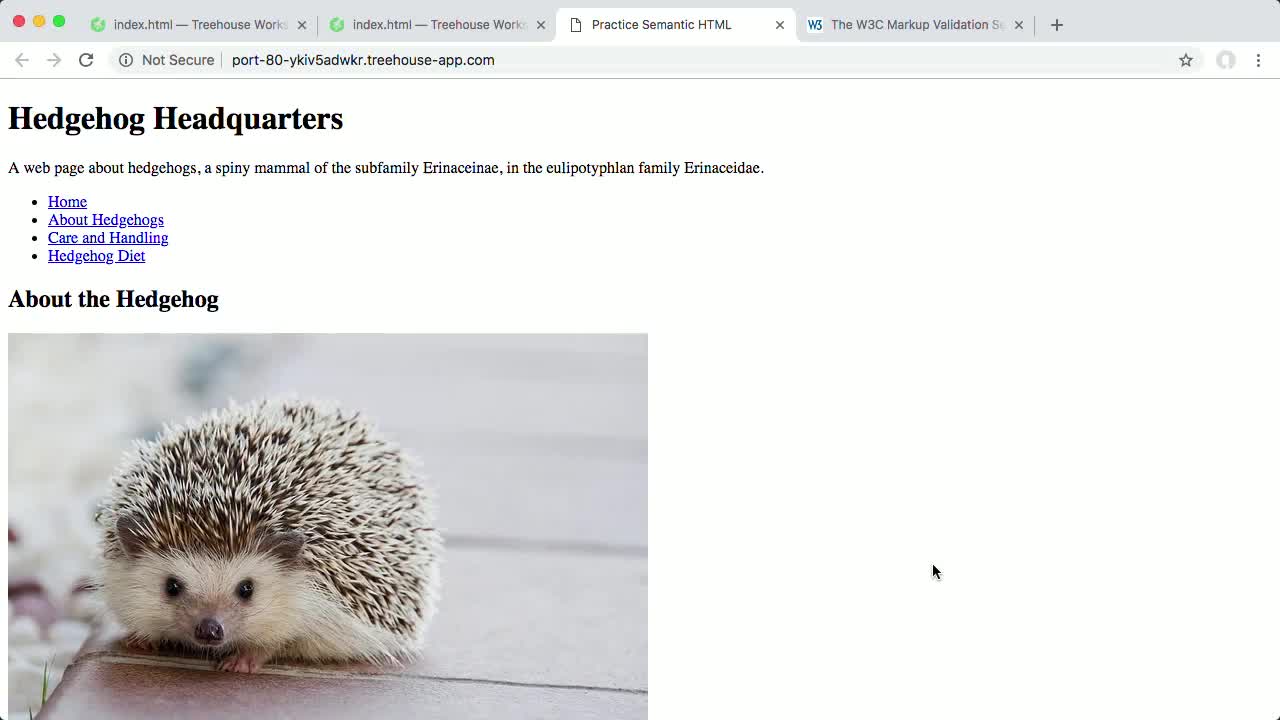 One Solution (How To) | Practice Semantic HTML | Treehouse