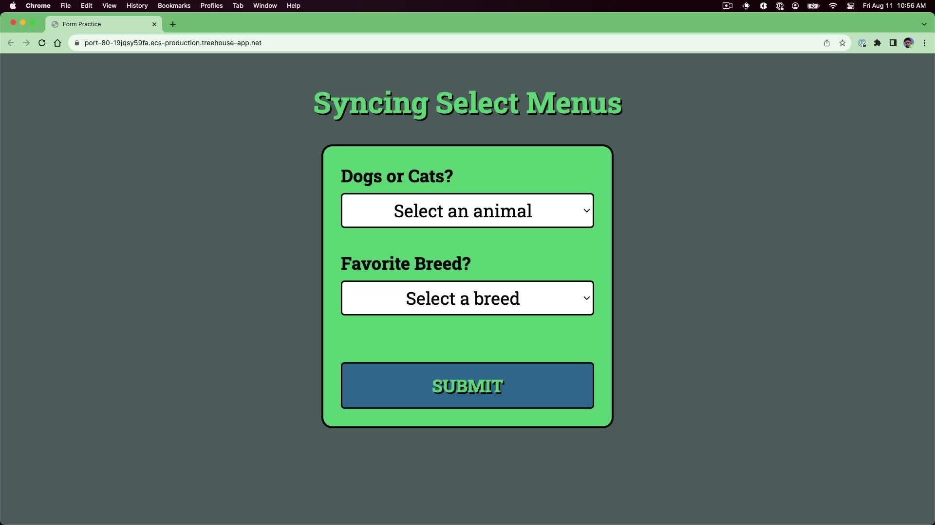 One Solution (How To) | Practice Dynamic Select Menus | Treehouse