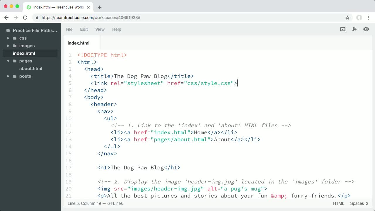 Solution: Linking to the Stylesheet (How To) | Practice File Paths ...