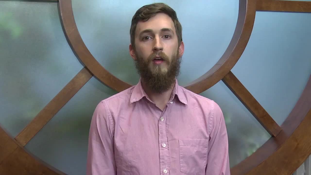 Showcase the Work (How To) | Brand Identity Basics | Treehouse