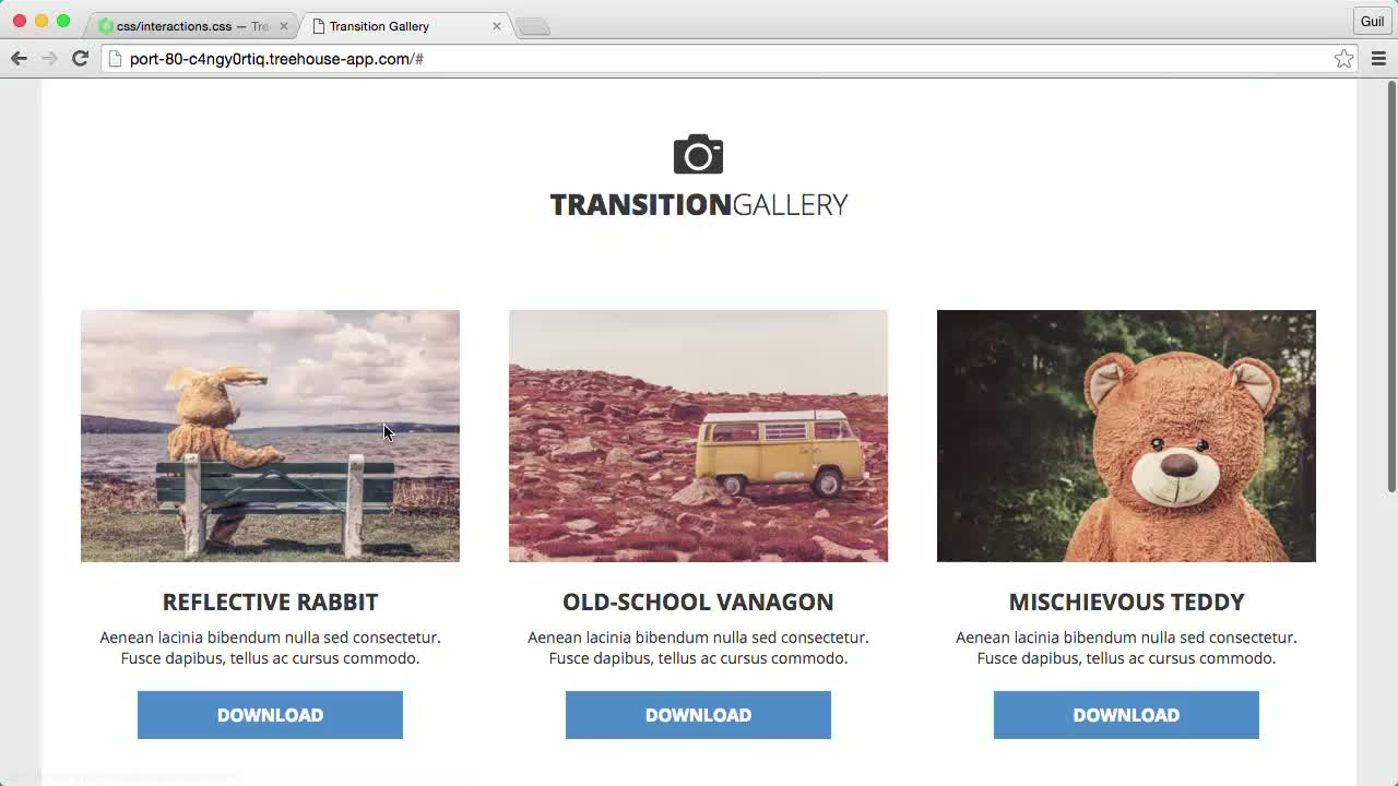 Animatable CSS Properties (How To) | CSS Transitions and Transforms | Treehouse