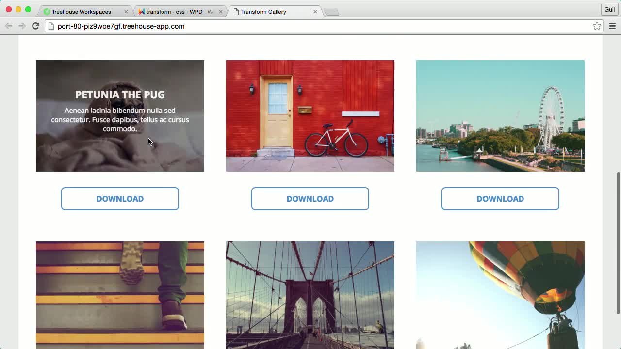 Rotating Elements How To Css Transitions And Transforms Treehouse