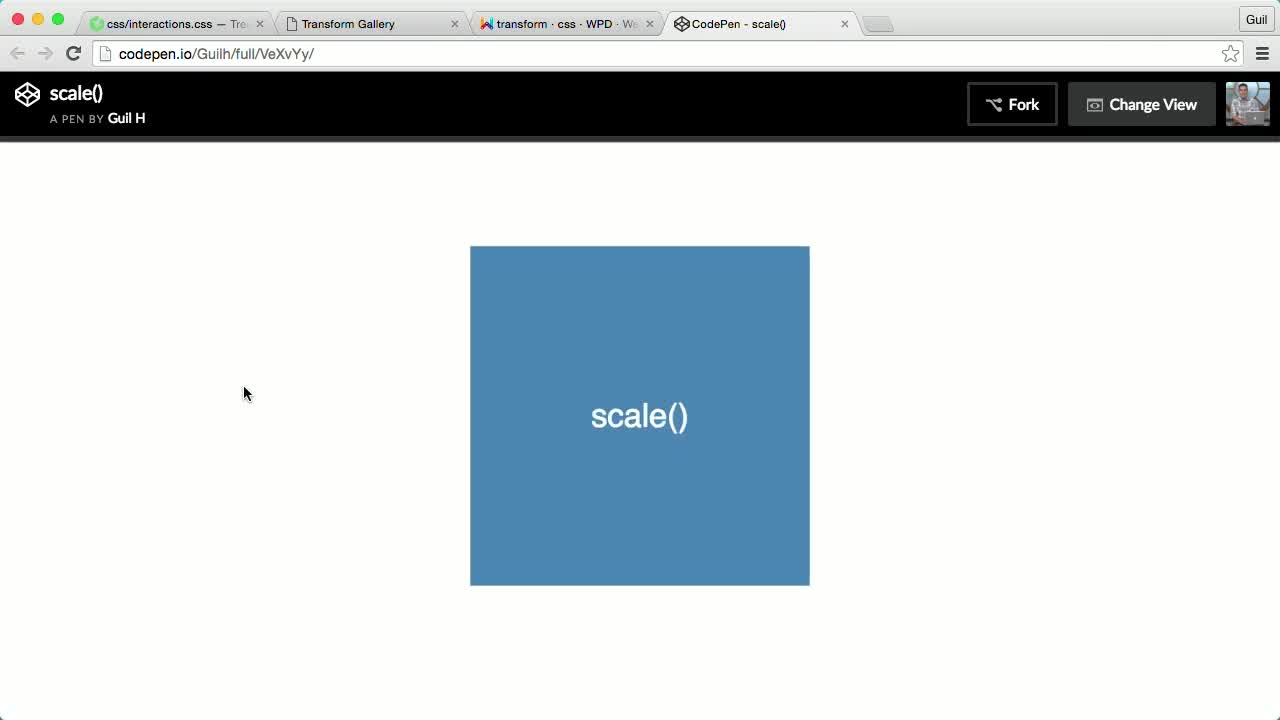Scaling Elements (How To) | CSS Transitions and Transforms | Treehouse