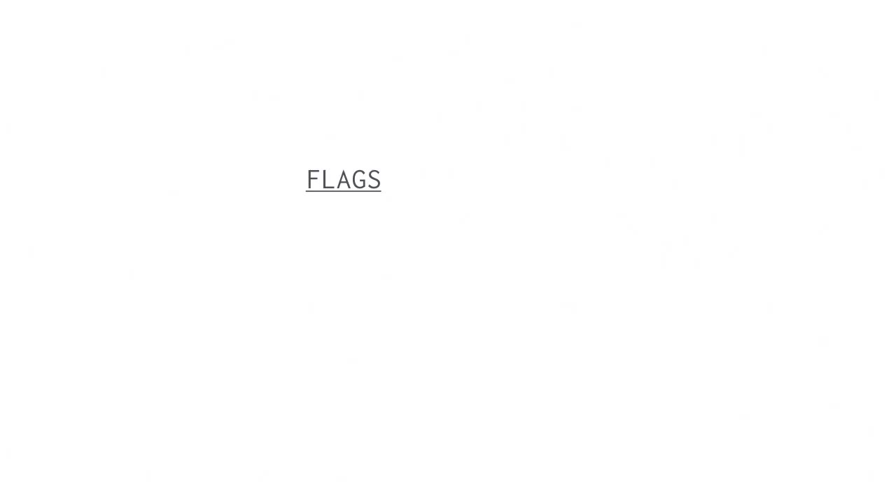 Flags (How To) | Regular Expressions in JavaScript | Treehouse